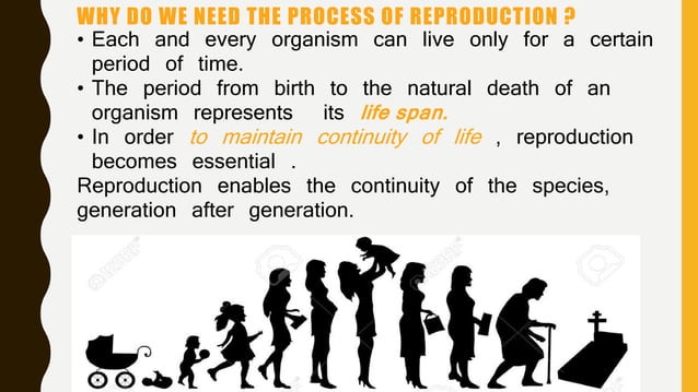 Introduction to reproduction in organisms class 12 cbse | PPT