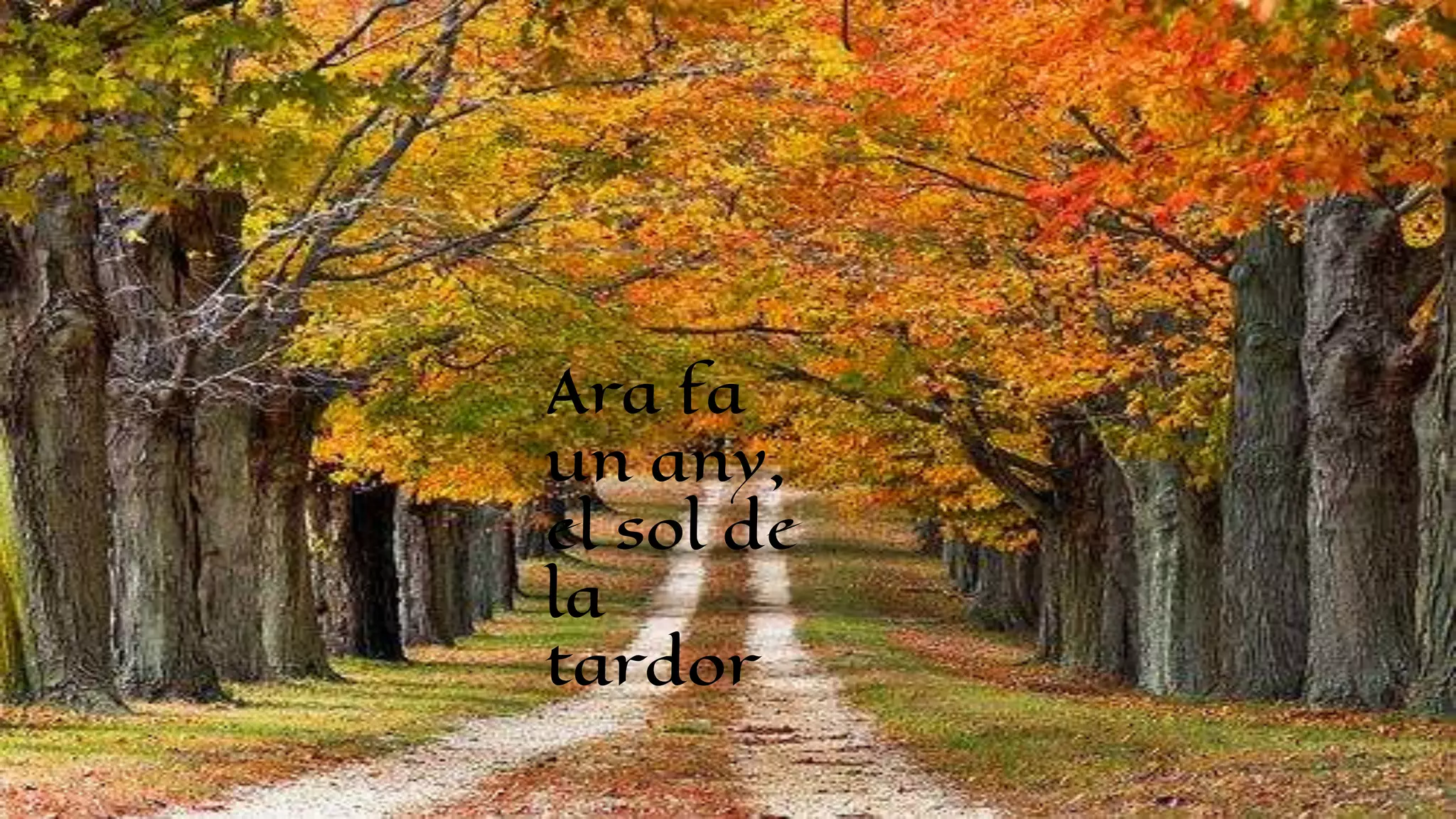 Una imatge val mes que mil paraules | PPTX