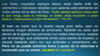 una mezcla de santos y pecadores.pptx, estudio sobre la cizaña y el ...