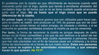 una mezcla de santos y pecadores.pptx, estudio sobre la cizaña y el ...