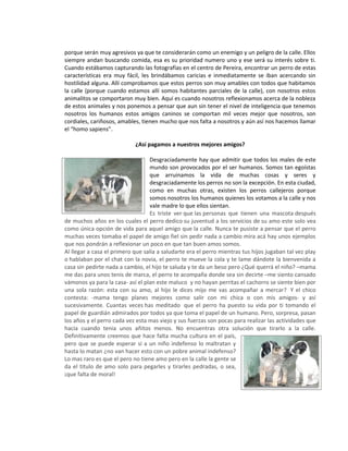 Un Amigos de la Calle | DOC | Dogs | Pets