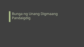Unang Digmaang Pandaigdig Powerpoint Presentation in Social Studies | PPT