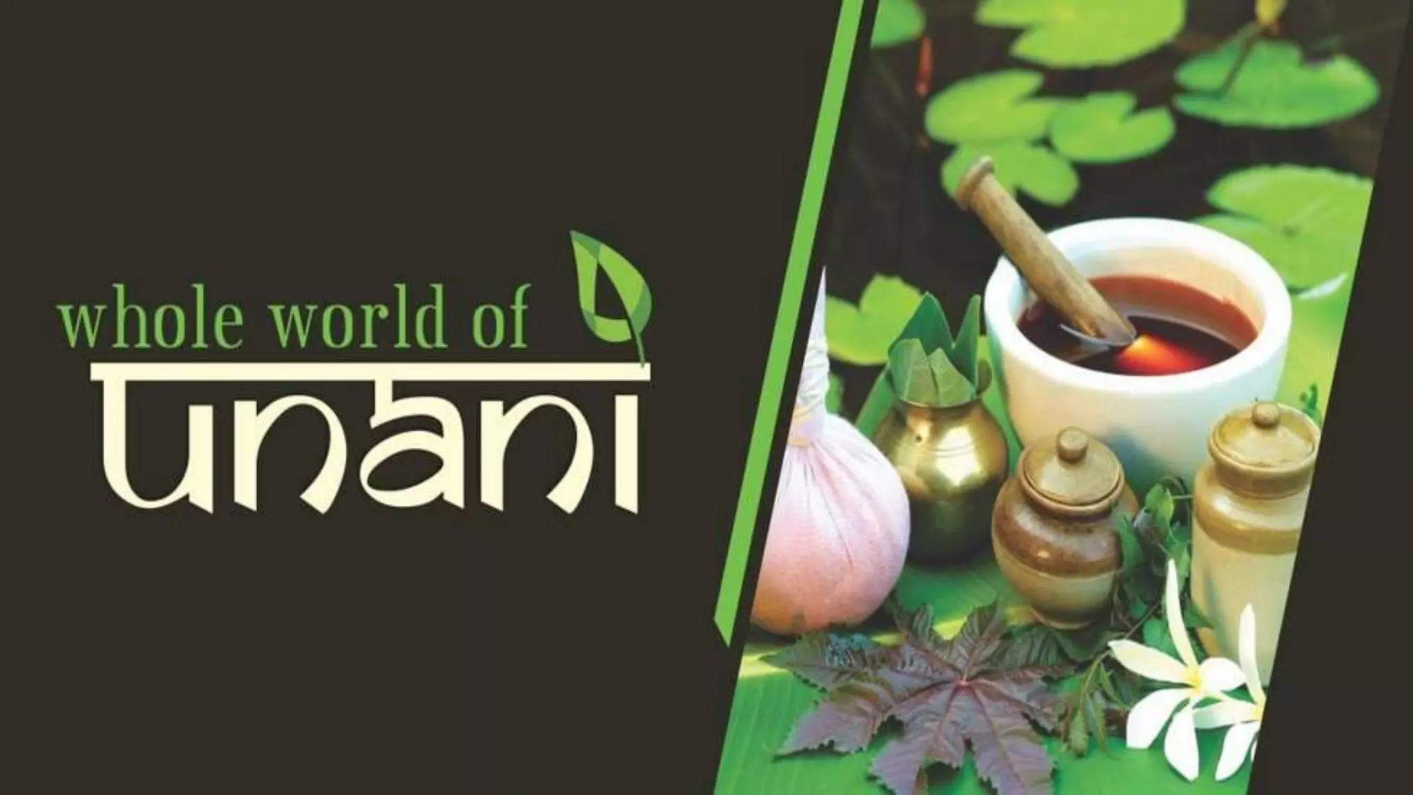 Unani System of Medicine.pptx