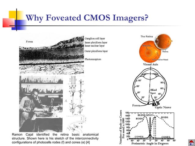 From Biological to Smart CMOS Imaging: Architectural approach | PPT