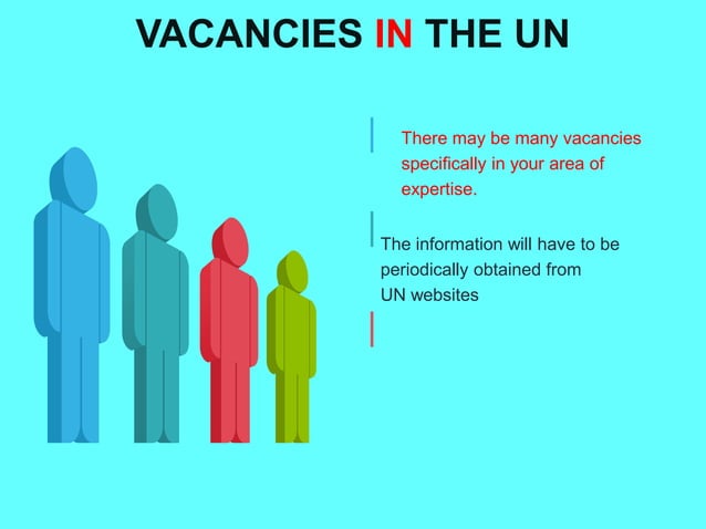 UN CAREER PPT BOOKLET.pptx | Non-Profit Organizations | Industries