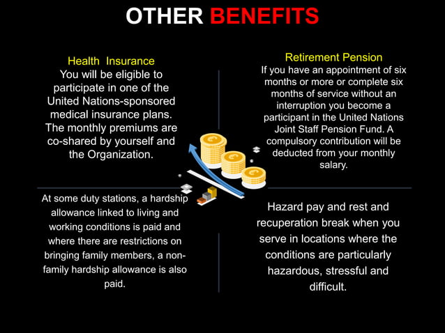 UN CAREER PPT BOOKLET.pptx | Non-Profit Organizations | Industries