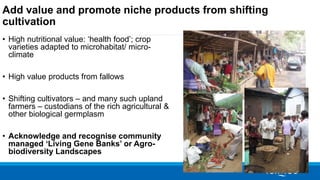 Sustainable transition of shifting cultivation systems for land ...