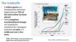 UNCCD_Orr_PPT.pdf_Land Degradation impacts on ecosystem | PDF