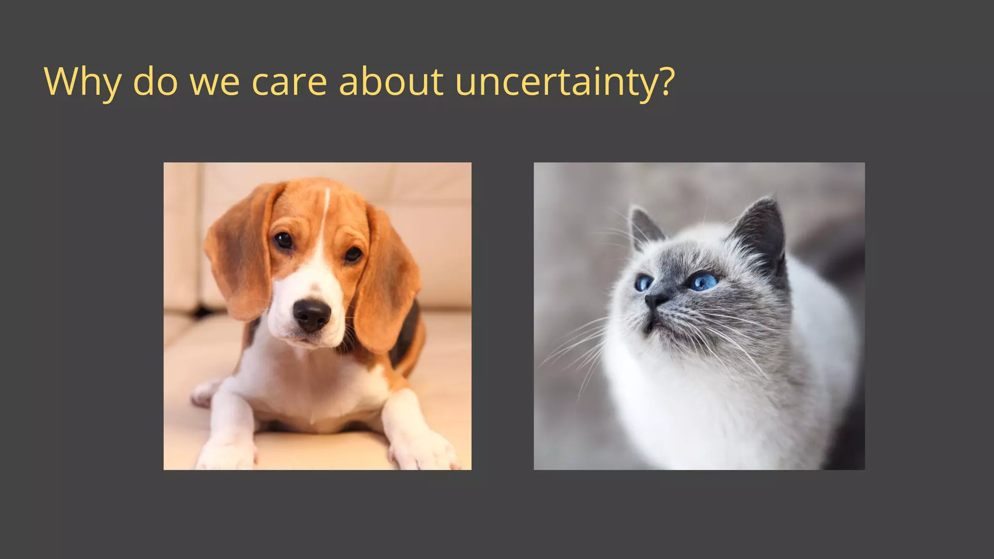 Uncertainty in Deep Learning | PDF