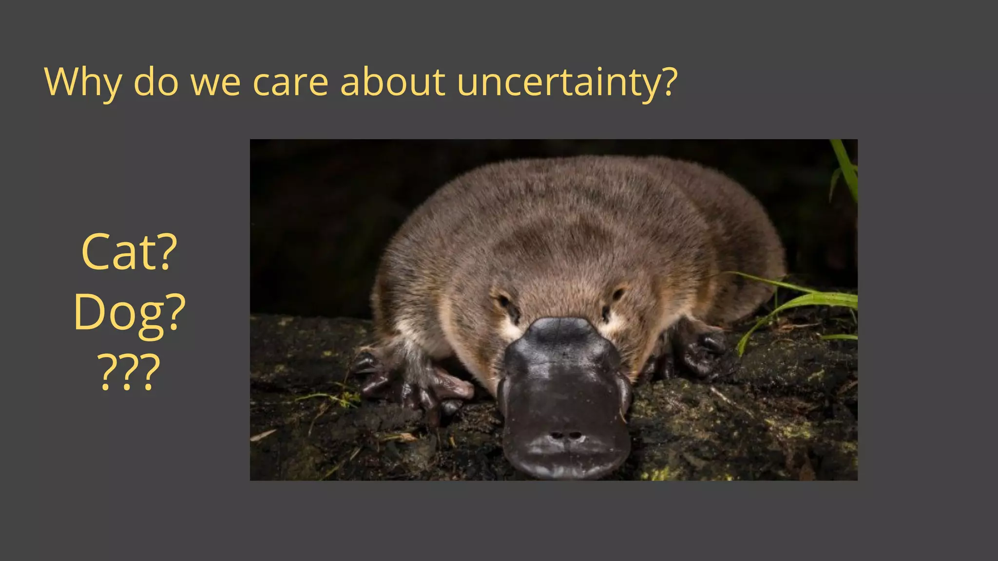 Uncertainty in Deep Learning | PDF