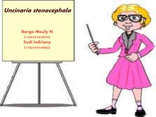 parasitologi veteriner_Uncinaria stenocephala | PPTX