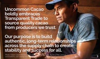 Uncommon cacao | PPT