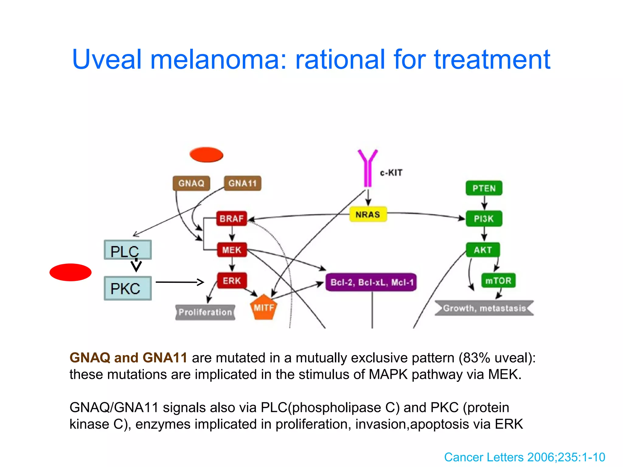 Uveal melanoma and uncommon locations | PPT
