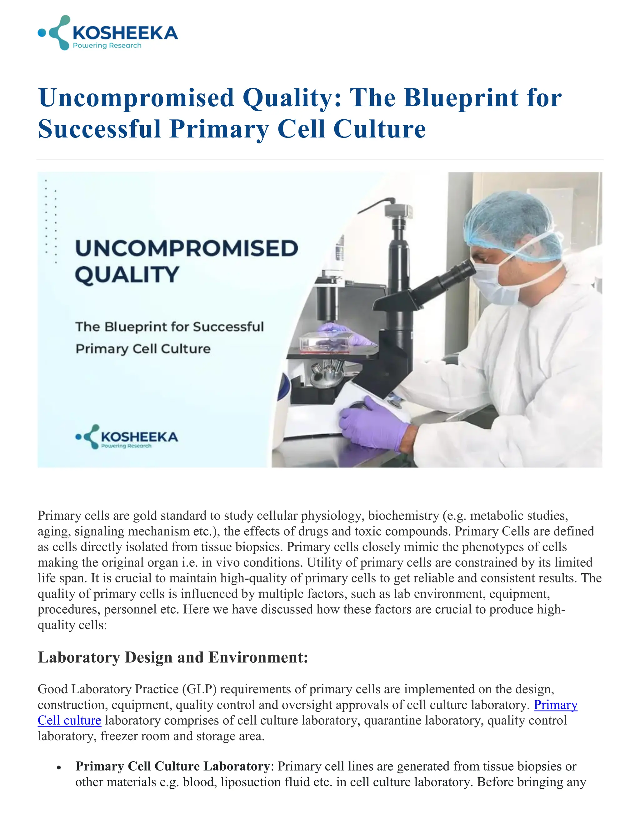 Uncompromised Quality: The Blueprint for Successful Primary Cell ...