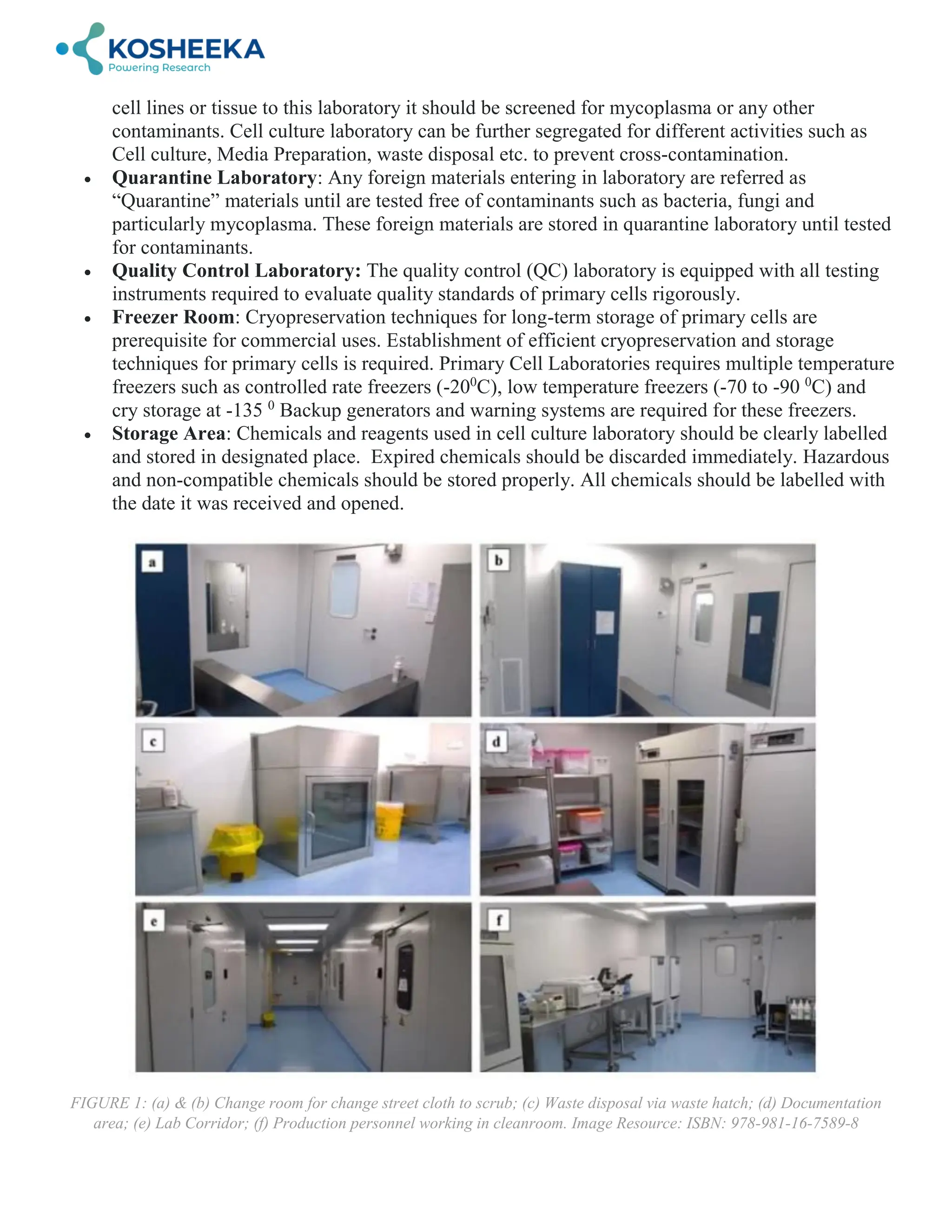 Uncompromised Quality: The Blueprint for Successful Primary Cell ...