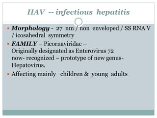 Hepatitis.ppt