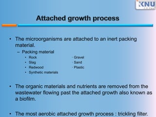 Sanitary.pptx | Chemistry | Science