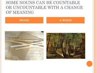 Uncountable nouns and quantifiers | PPT