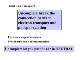 Uncouplers -1 | PPT
