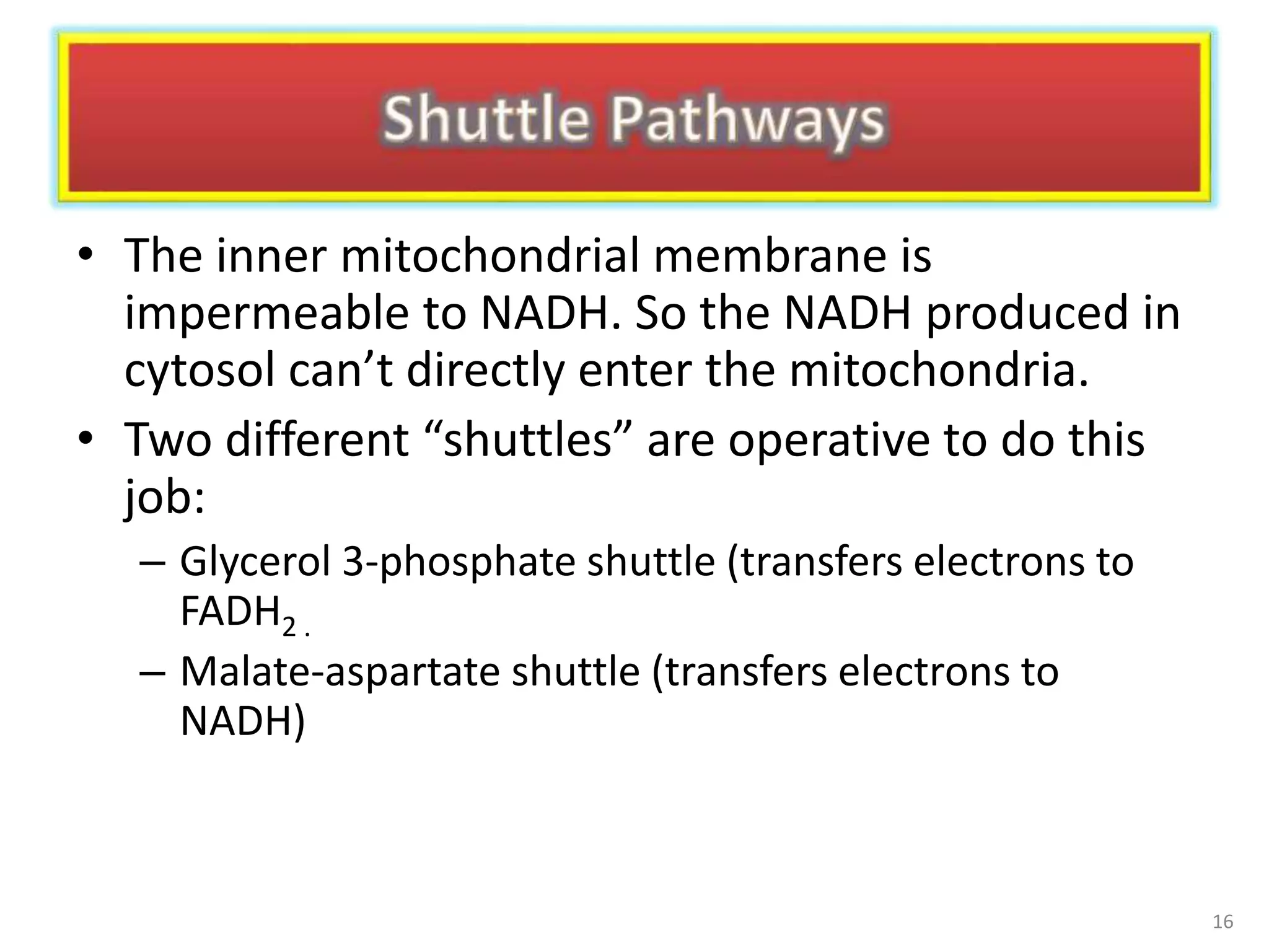 Uncouplers of oxidative phosphorylation | PPTX