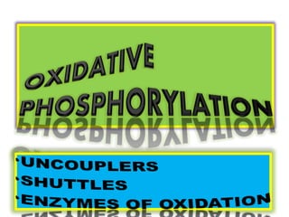 Uncouplers of oxidative phosphorylation | PPTX