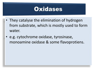 Uncouplers of oxidative phosphorylation | PPTX