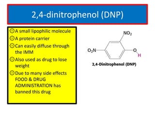 Uncouplers of oxidative phosphorylation | PPTX