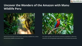 Manu Tours from Puerto Maldonado | Explore the Amazon Rainforest | PPT