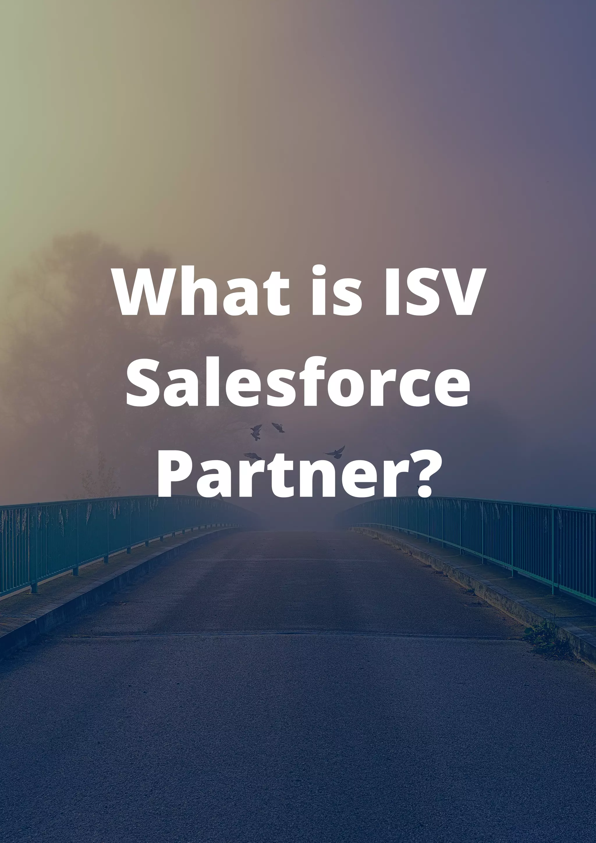 Uncovering 04 Main Types and Benefits of Salesforce ISV Partnerships.pdf