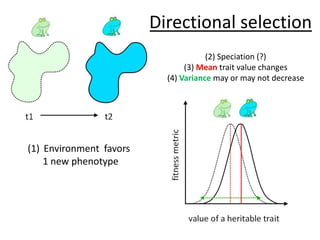 Uncovering modes of evolution | PPTX