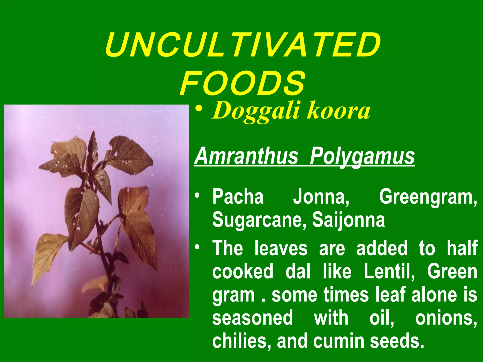 Uncultivated foods | PPT