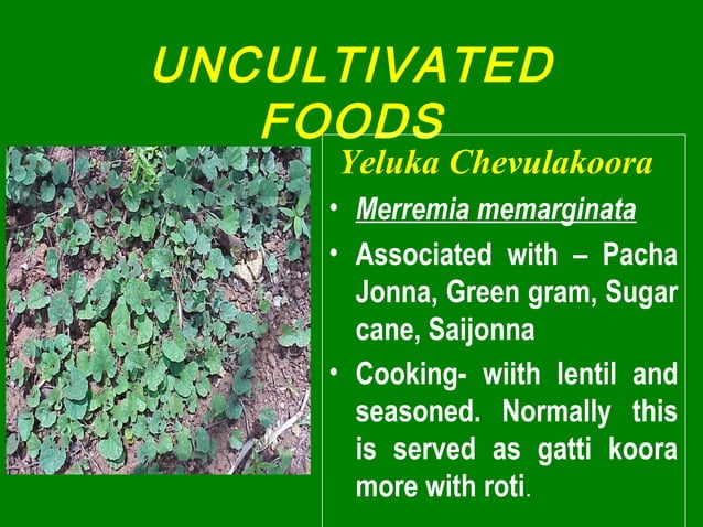 Uncultivated foods | PPT