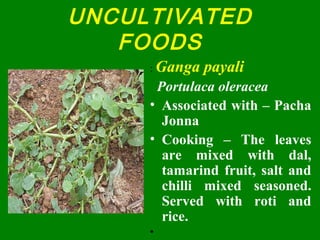 Uncultivated foods | PPT