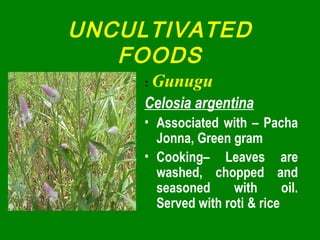 Uncultivated foods | PPT