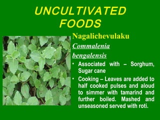 Uncultivated foods | PPT