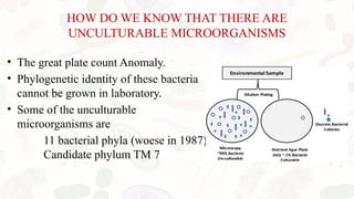 Unculturable micro organisms.pptx microbiology | PPTX
