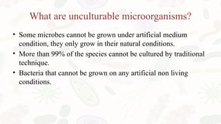 Unculturable micro organisms.pptx microbiology | PPTX