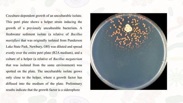 Unculturable micro organisms.pptx microbiology | PPT