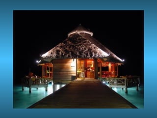 Hanimum Gratis Untuk Anda, Silahkan, Monggo Isi Formulirnya, Undangan ...