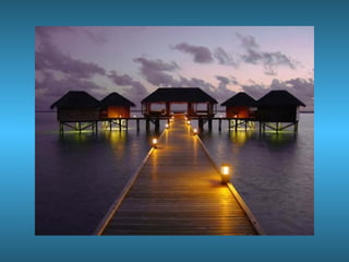 Hanimum Gratis Untuk Anda, Silahkan, Monggo Isi Formulirnya, Undangan ...