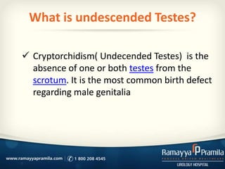 Undecended testes | PPTX