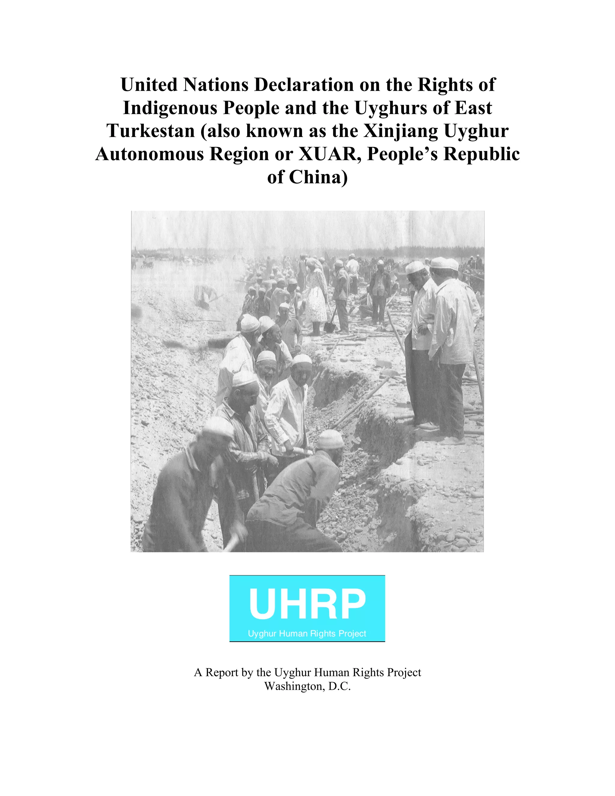 Un declaration on the rights of indigenous people and the uyghurs of ...
