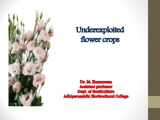 Underexploited flower crops | PDF