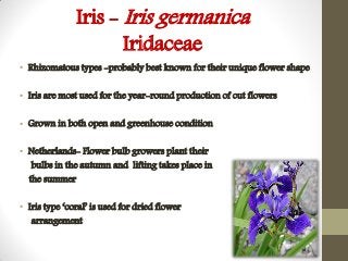 Underexploited flower crops | PDF