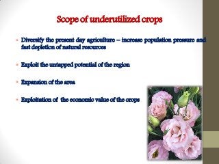 Underexploited flower crops | PDF