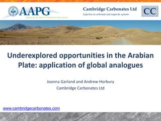 Underexplored Opportunities in the Arabian Plate.pdf