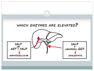 Undergrad teaching slides | PPT