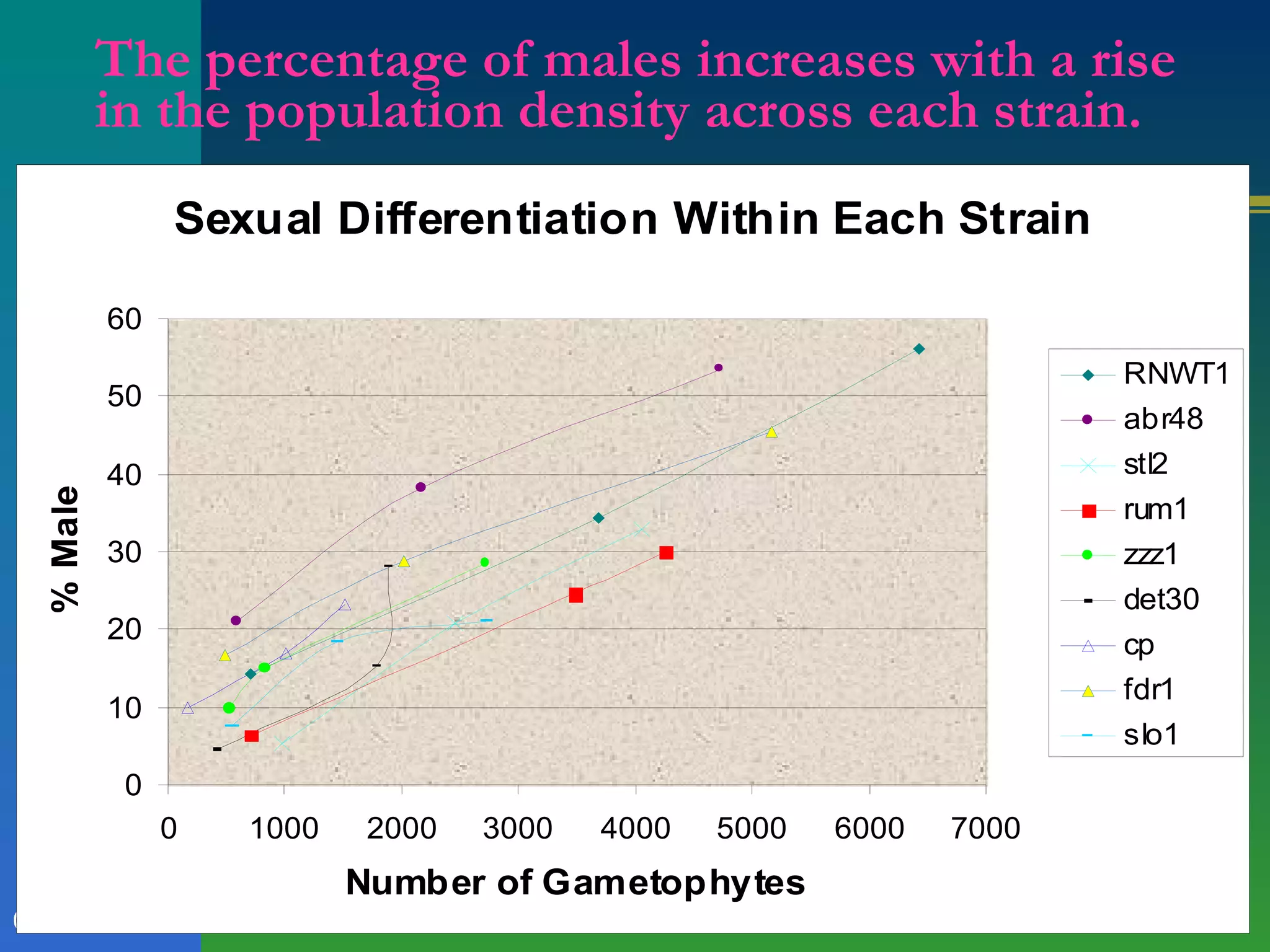 Undergraduate Thesis Defense Slides | PPT