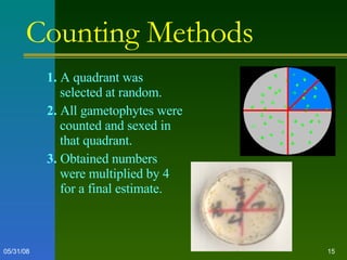 Undergraduate Thesis Defense Slides | PPT