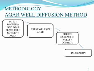 Proximate analysis, antimicrobial and antioxidant activities of aloe ...